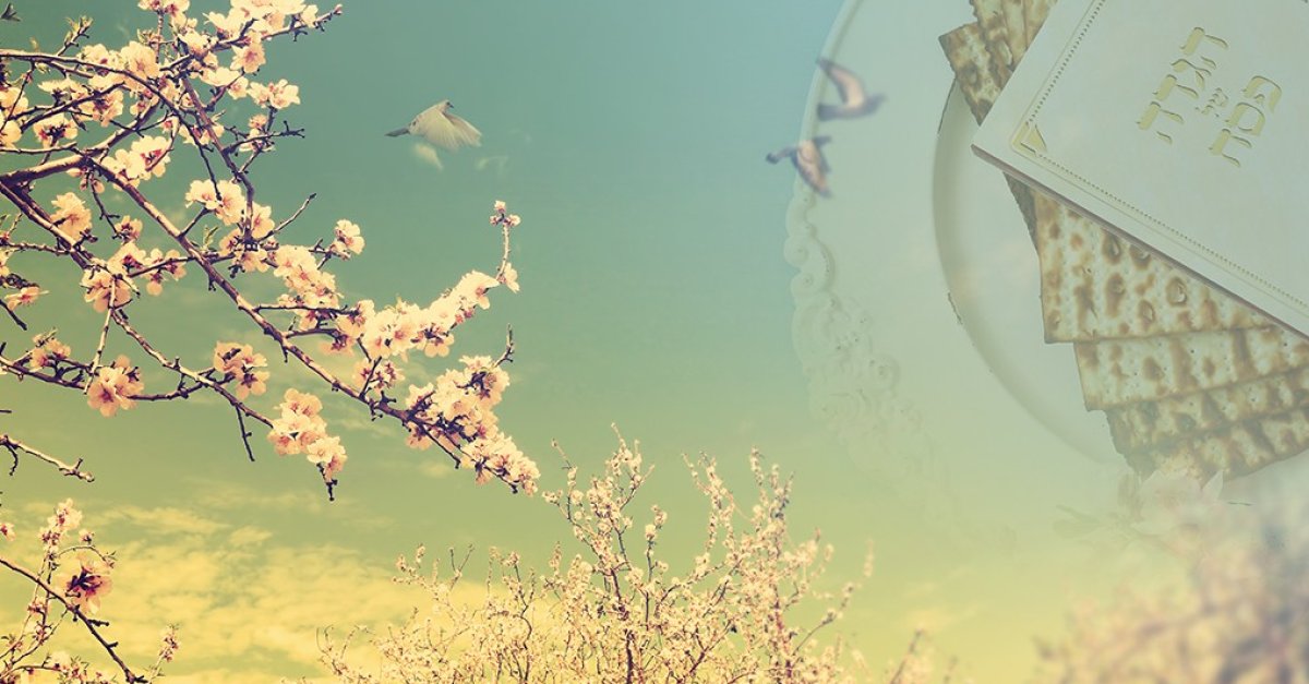 What Is True Freedom in Judaism? The Spiritual Meaning of Passover and ...