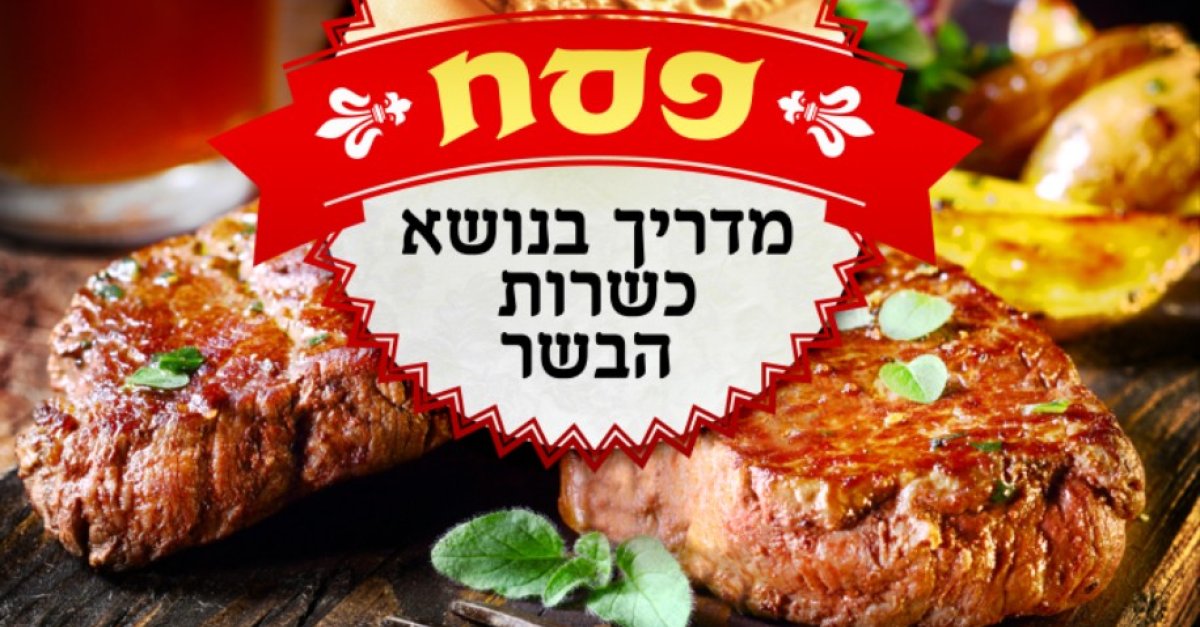 The Complete Guide to Passover Kashrut Laws: Meat - Hidabroot