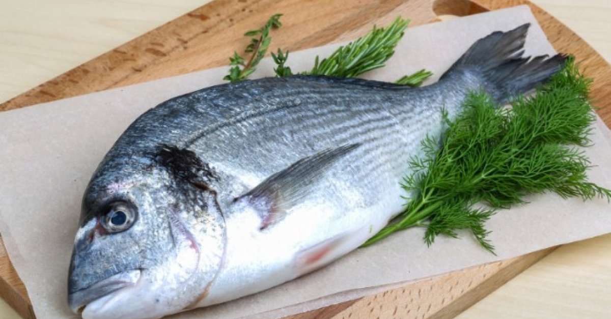 The Science of Kosher Fish: How the Torah Predicted a Biological Truth ...