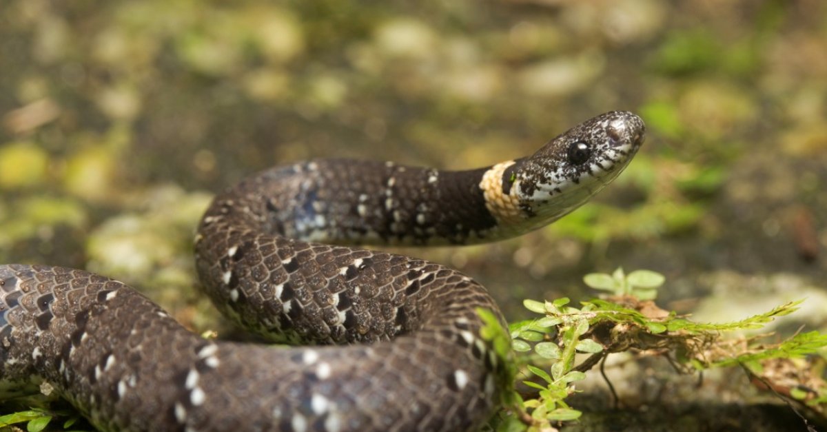 What Are the Benefits of Trusting in God? Part 3 - Hidabroot