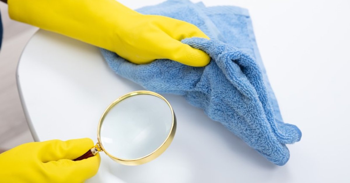"Cleaning Obsession": The Link Between Obsessive-Compulsive Disorder ...