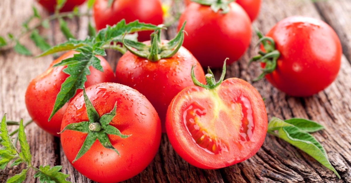 New Study: Tomatoes Combat Skin Cancer - Hidabroot