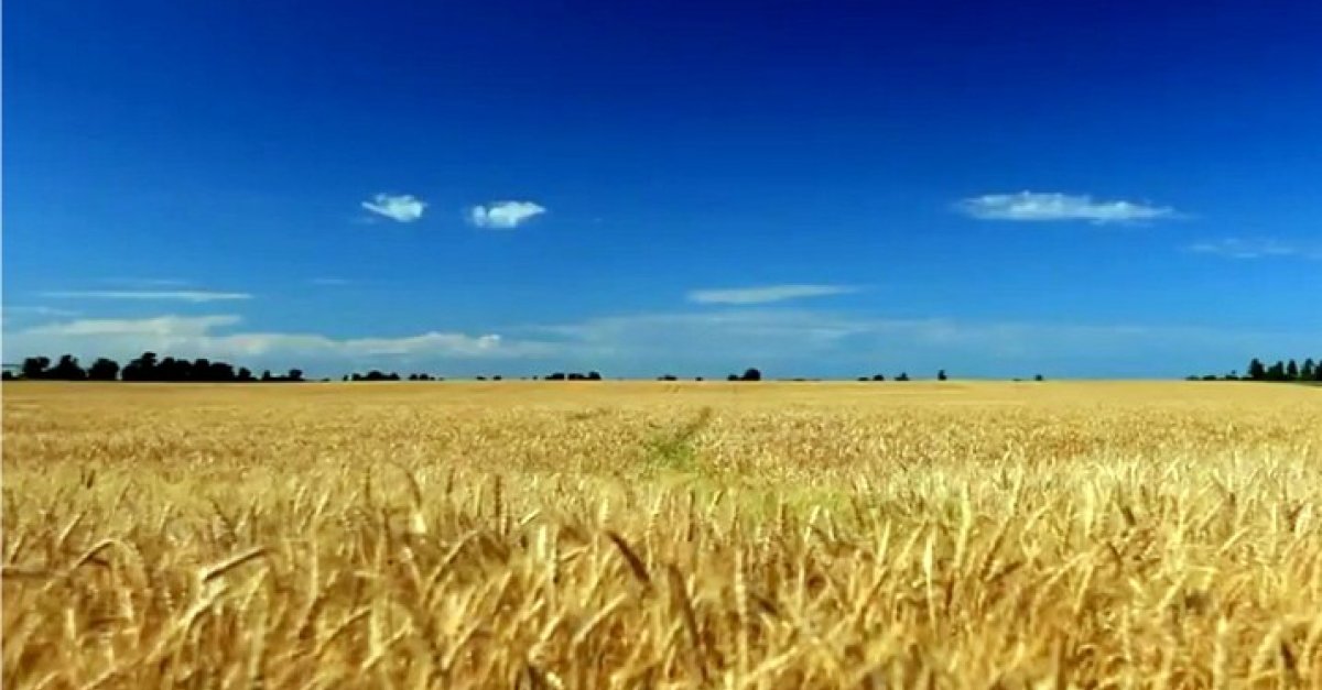 Lost in the Fields, Found by Hashem - Hidabroot