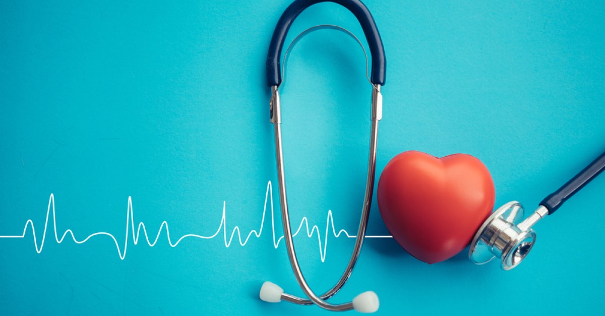 From Mountains to Salamanders: Amazing Things You Didn't Know - Hidabroot