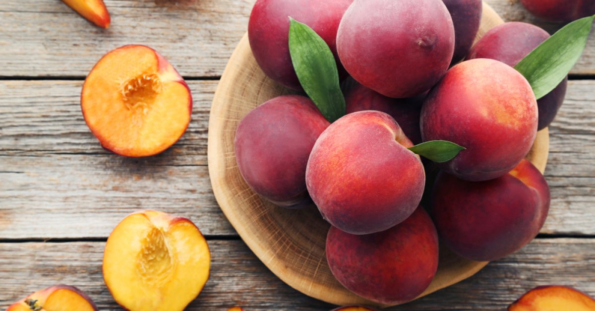 From Scooters to Sleep: Fun Facts You Didn’t Know - Hidabroot