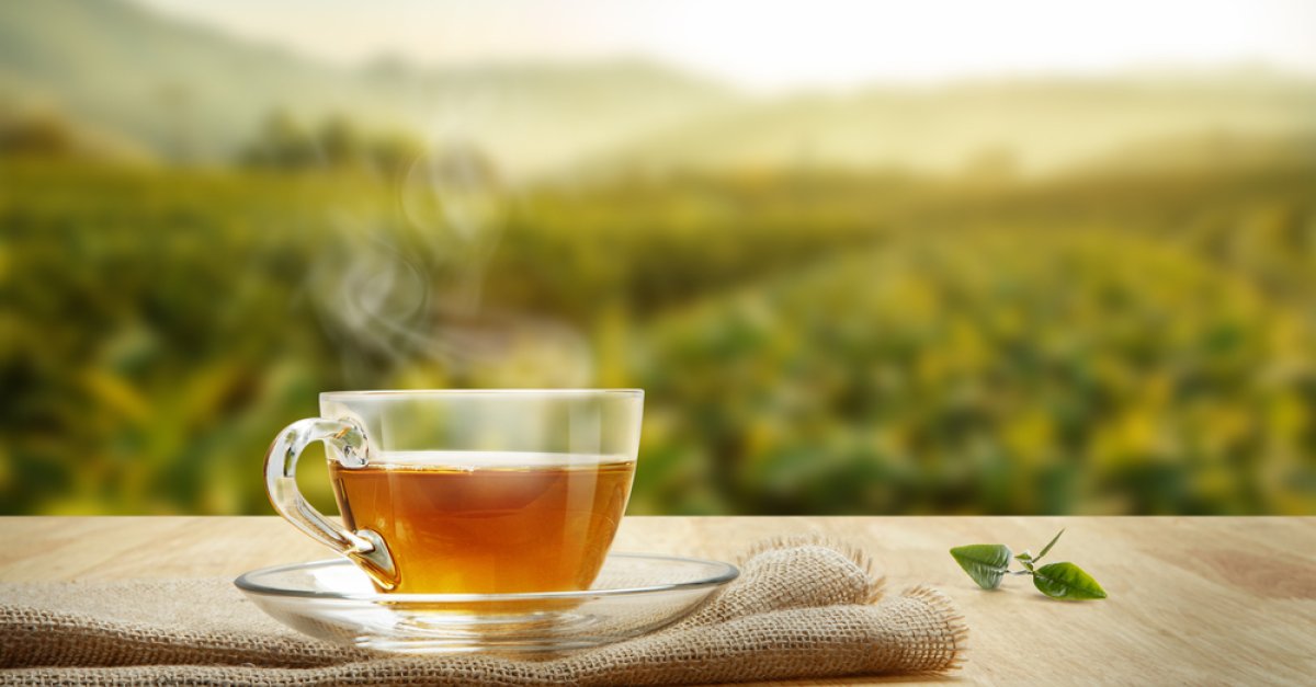 Is Drinking Tea Before Breakfast a Good Idea? - Hidabroot