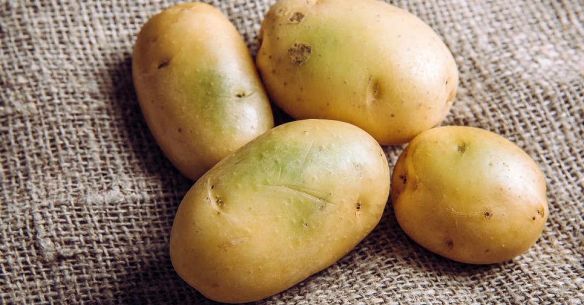 Green Spots on Potatoes? Here’s Why You Should Avoid Eating Them ...