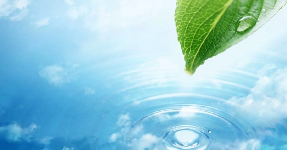 Natural Relief for Excessive Sweating - Hidabroot