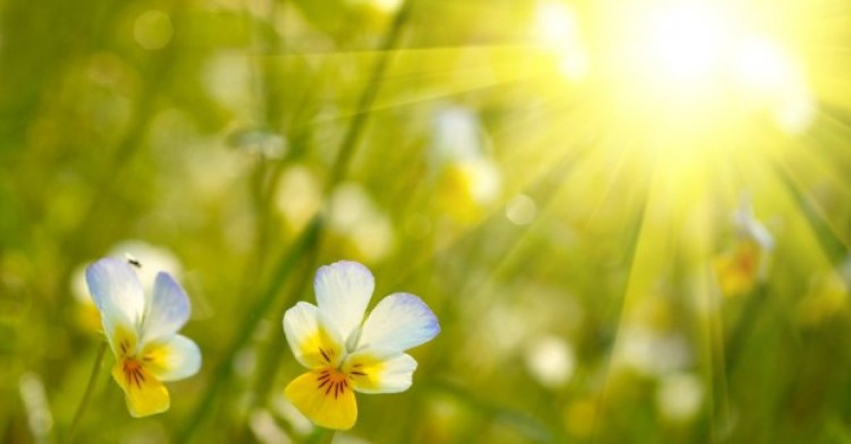 When the Sky Became Blue: How the Torah Anticipated Earth’s Atmospheric ...