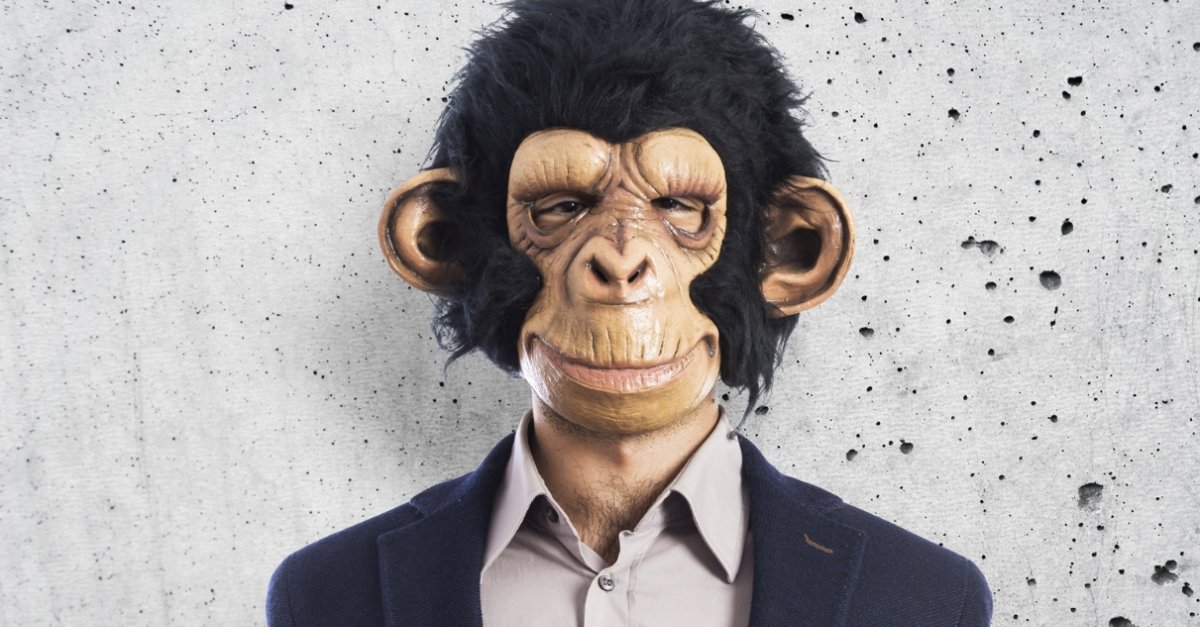 Why Only Humans Ask “Why”: What Science Reveals About the Soul Beyond ...