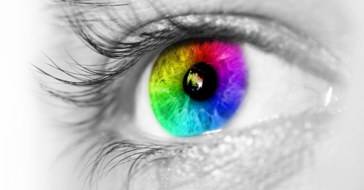 The Human Eye: Nature’s Most Advanced Camera and a Priceless Gift ...