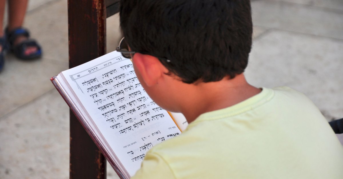 How Did Book of Psalms Become the Most Read Book? 4 Facts About Its Powerful Impact - Hidabroot