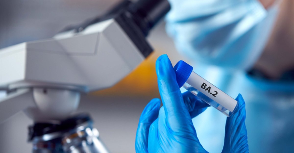 מי מגדל את ה- BA2 במעבדה, ומדוע? כל מה שיודעים על תת-הזן החדש שמתפשט ...