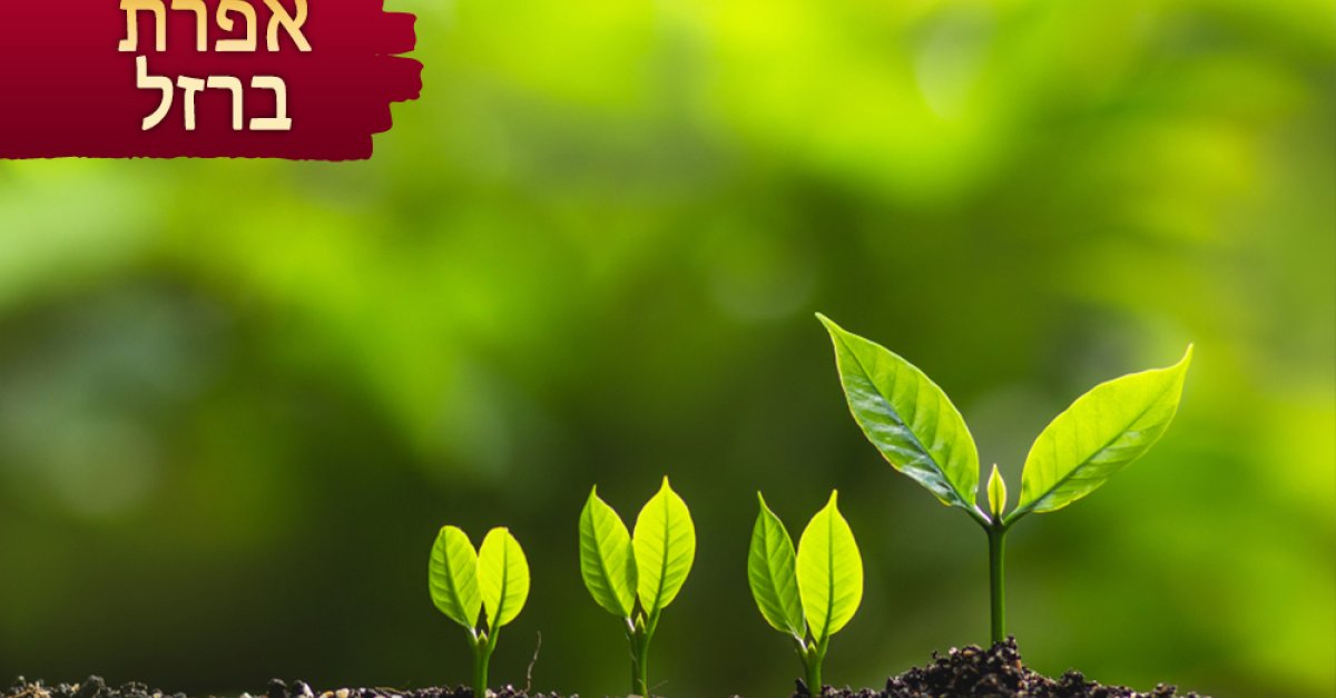 אפרת ברזל: כמה הנחות יסוד, ונמשיך - הידברות